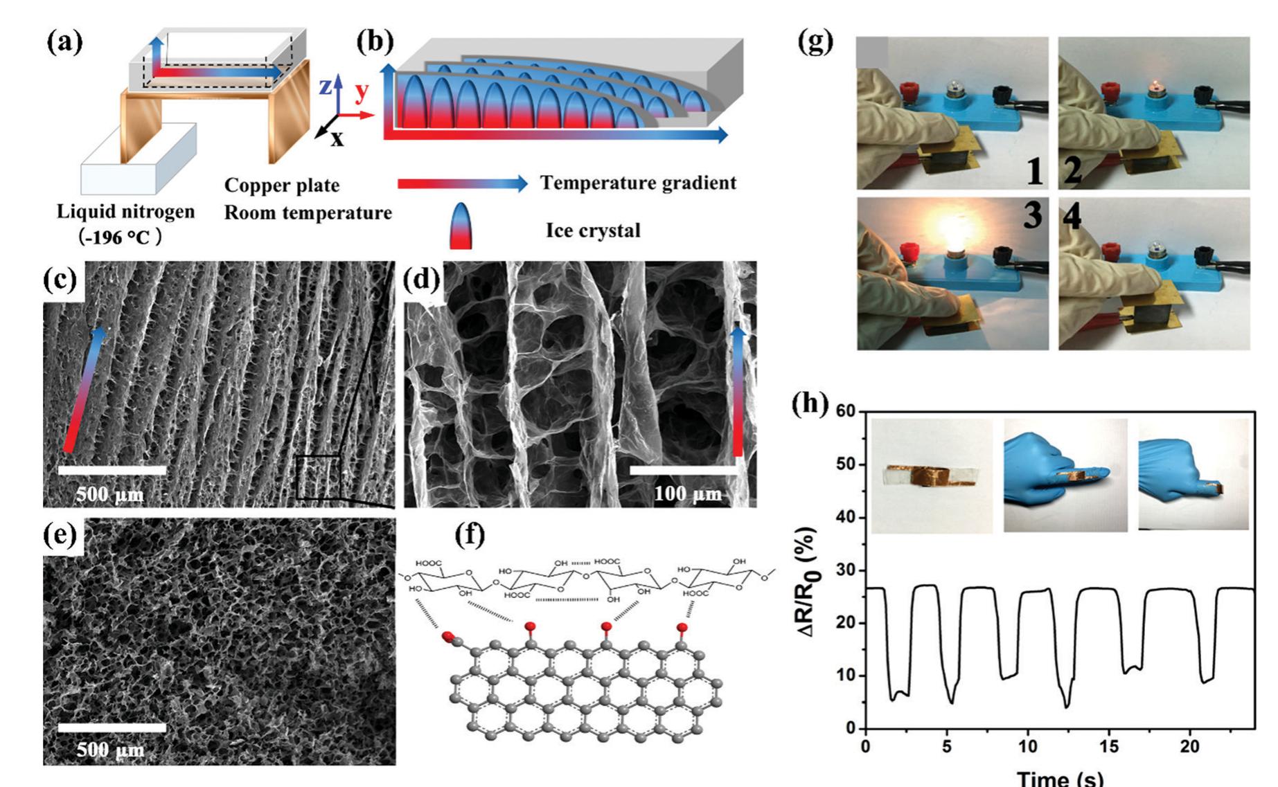 (a) structure of cellulose. (b) cellulose based aerogel. (c
