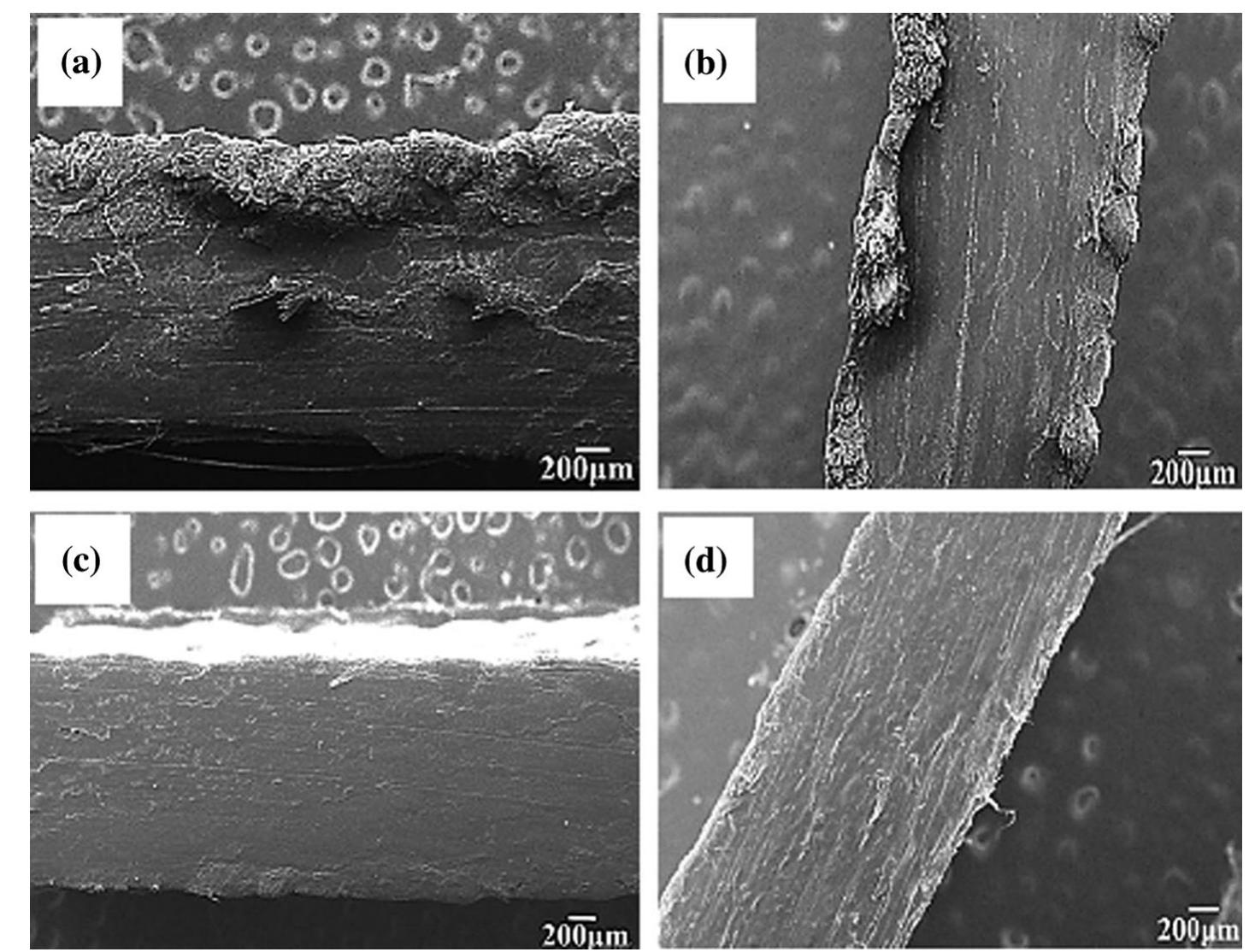 Sem micrographs of cross-sections of: acc-1 (a), acc-2 (b),