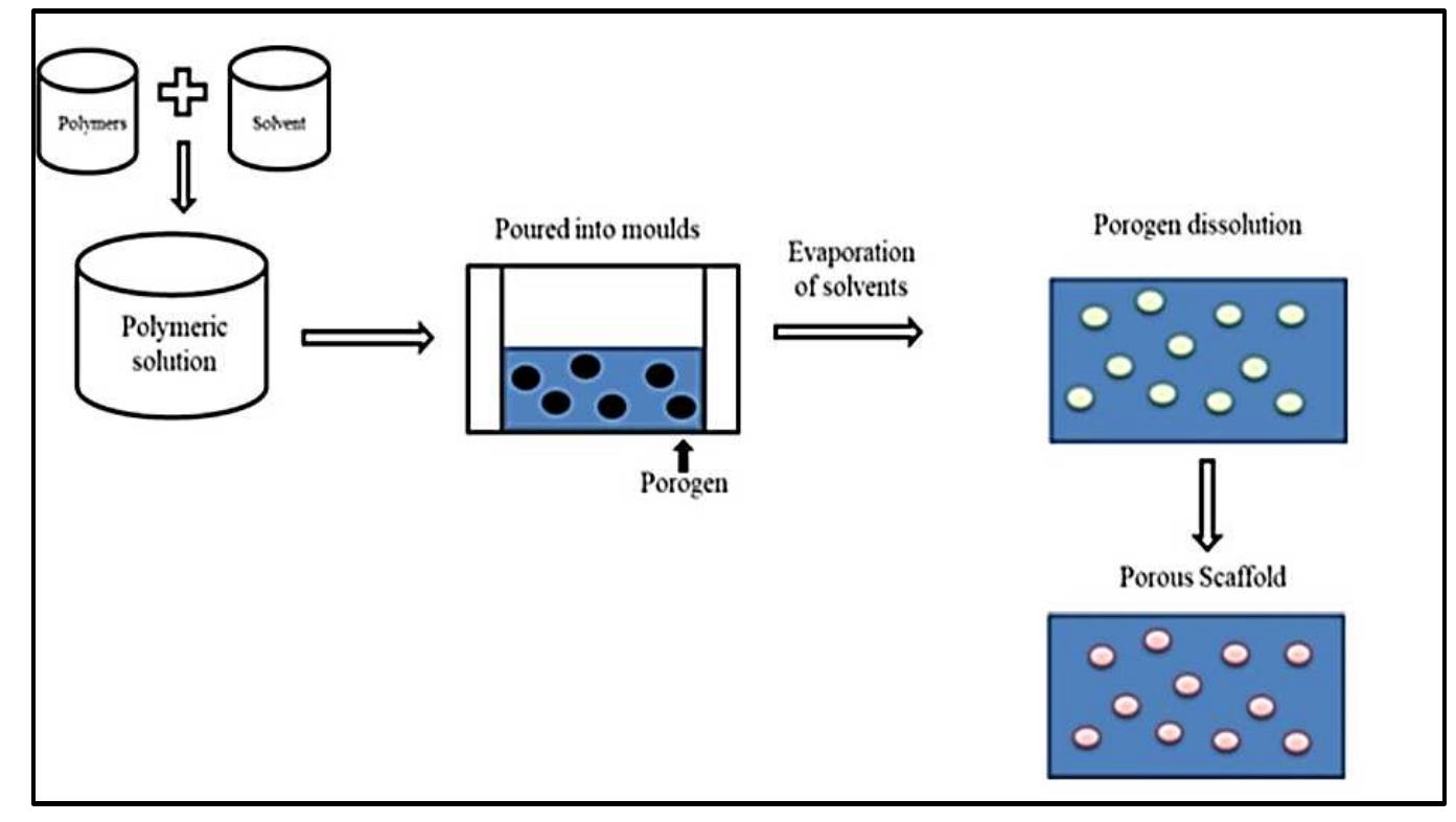 Depiction of solvent casting [51] cells and tissues are
