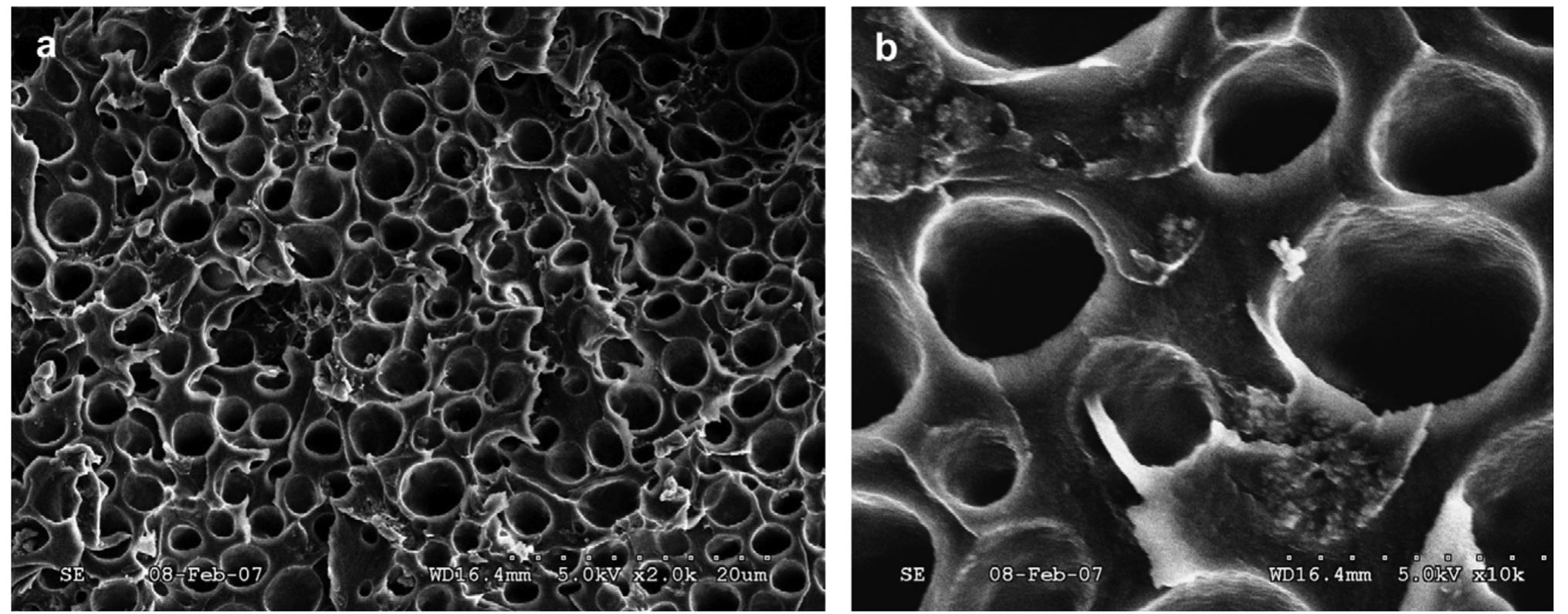 Fracture surface images of hybrid epoxy-silica-rubber