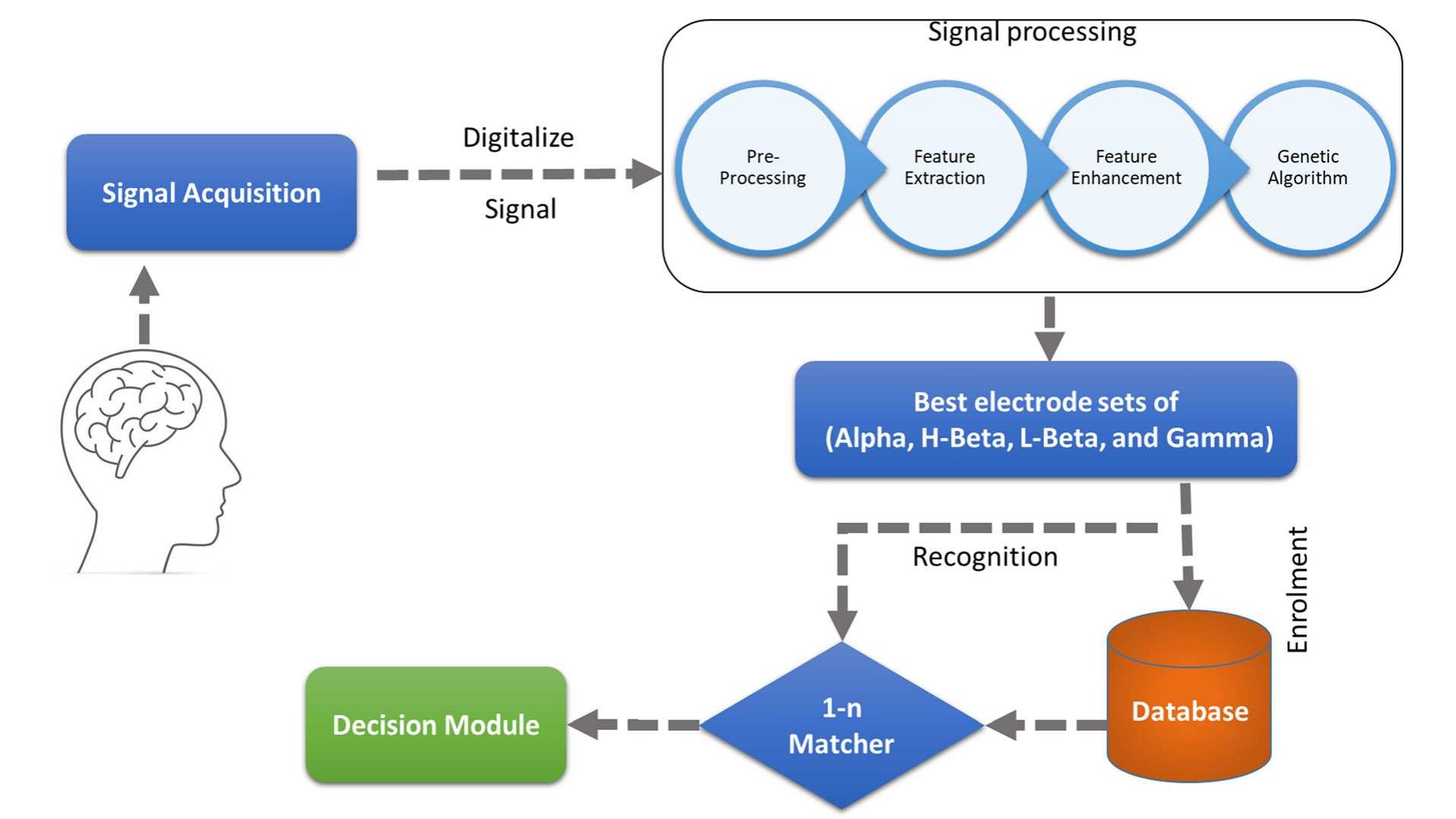 Block diagram of presented eeg-based identification system