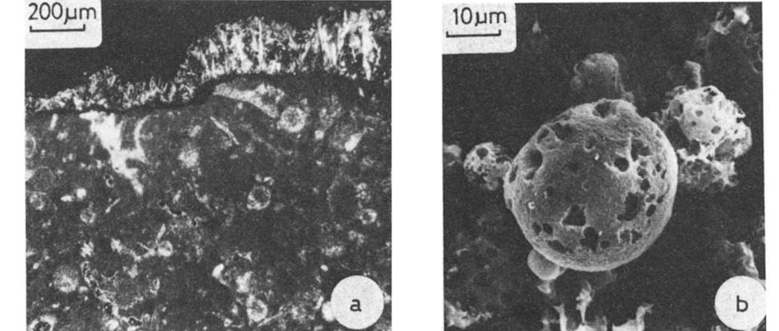 (PDF) Urban stone sulphation and oil-fired carbonaceous particles