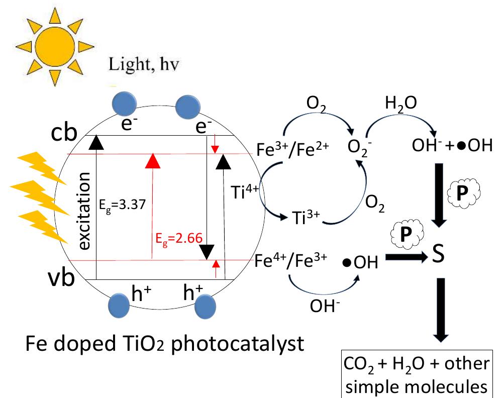 The proposed schematic mechanism diagram of photocatalytic