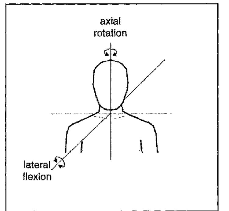 (PDF) ISO/FDIS 11226: Evaluation of Static Working Postures
