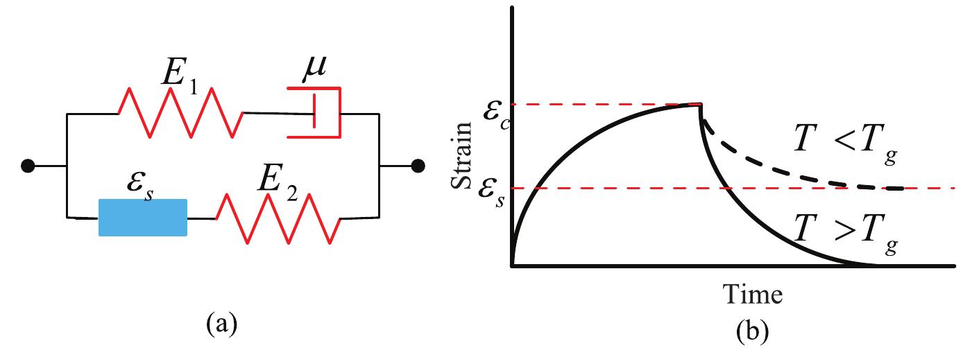 The schematic drawing of tobushi et al.'s (1997) model. (a)