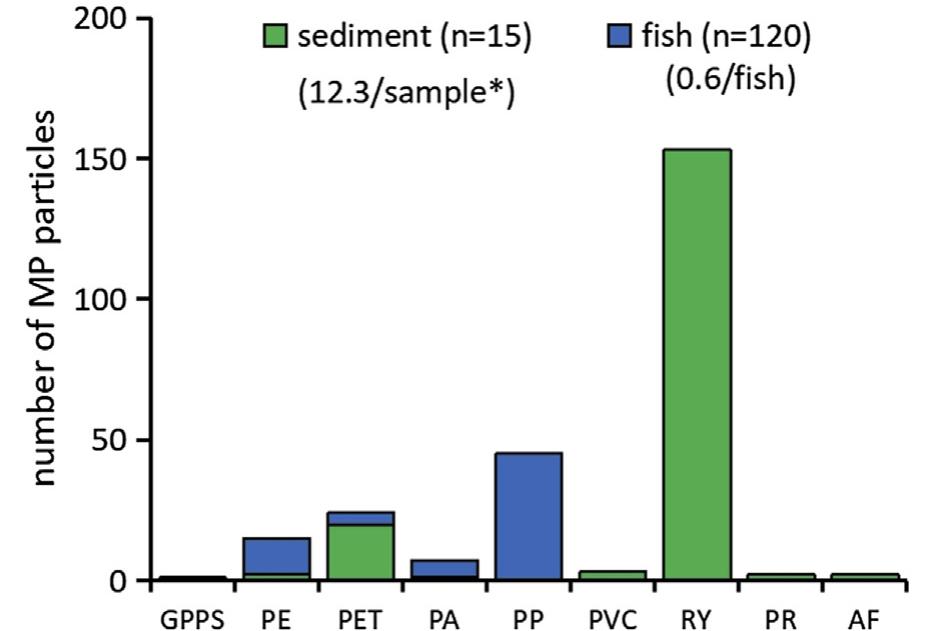 Confirmed Types Of Microplastic Particles Identified In The