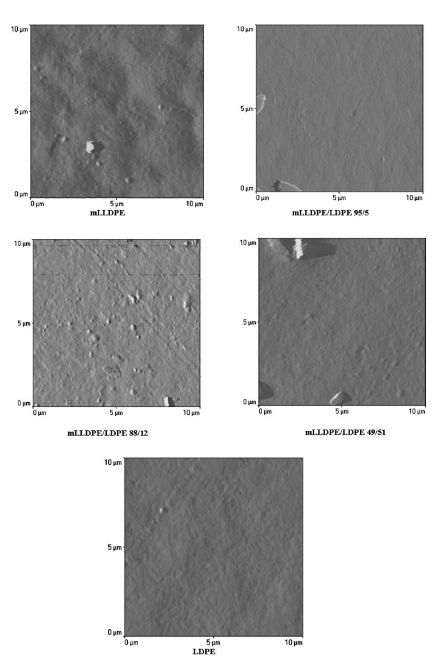 Afm micrographs.