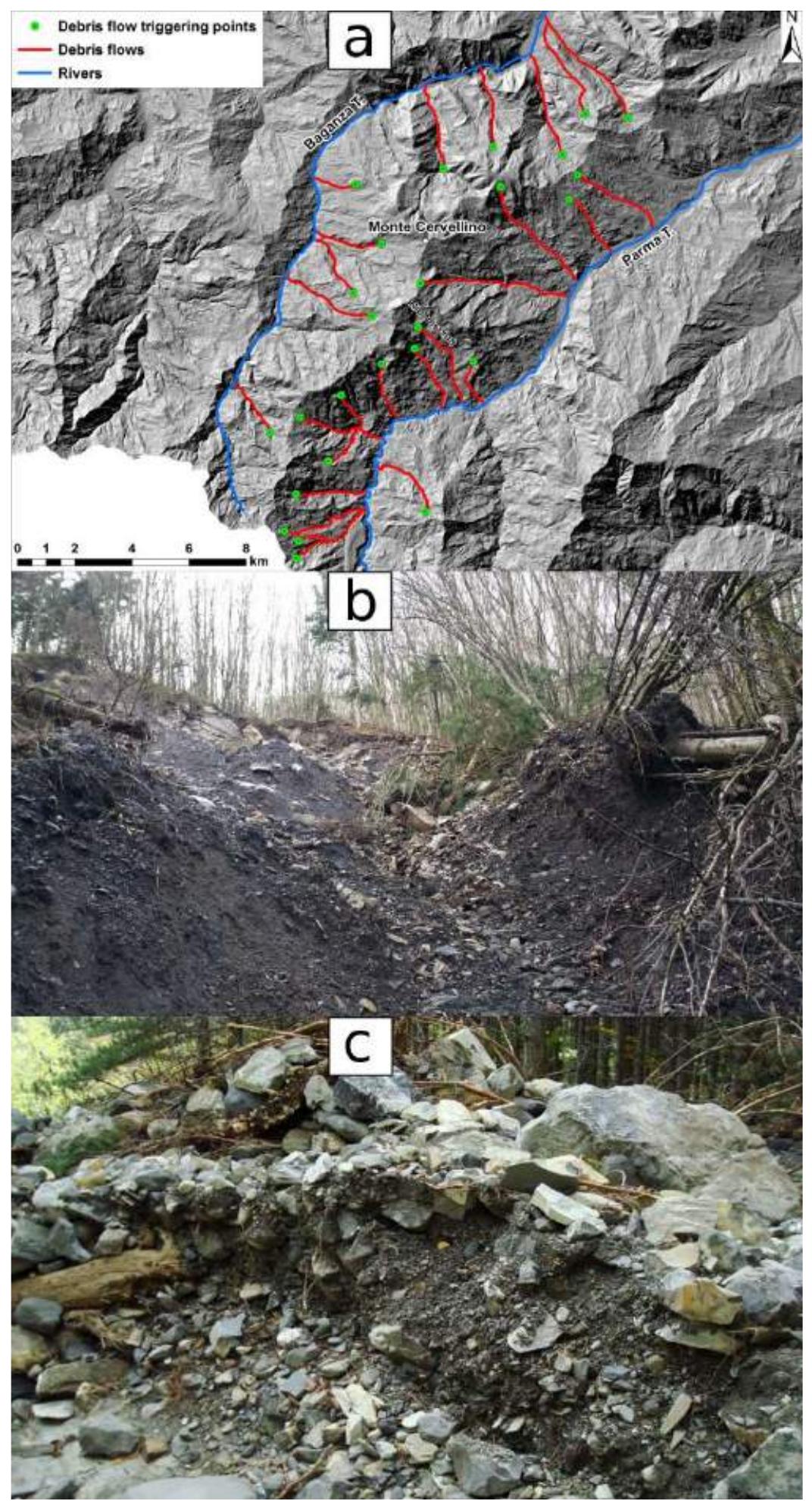 A) map of debris flows distribution during the event of