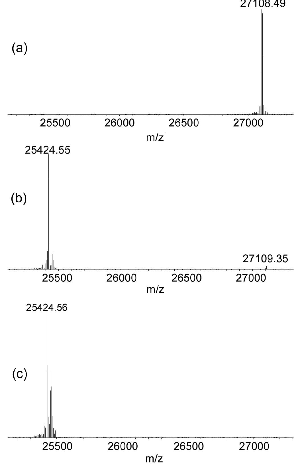 Mass spectra of his-rfp before and after cleavage of the