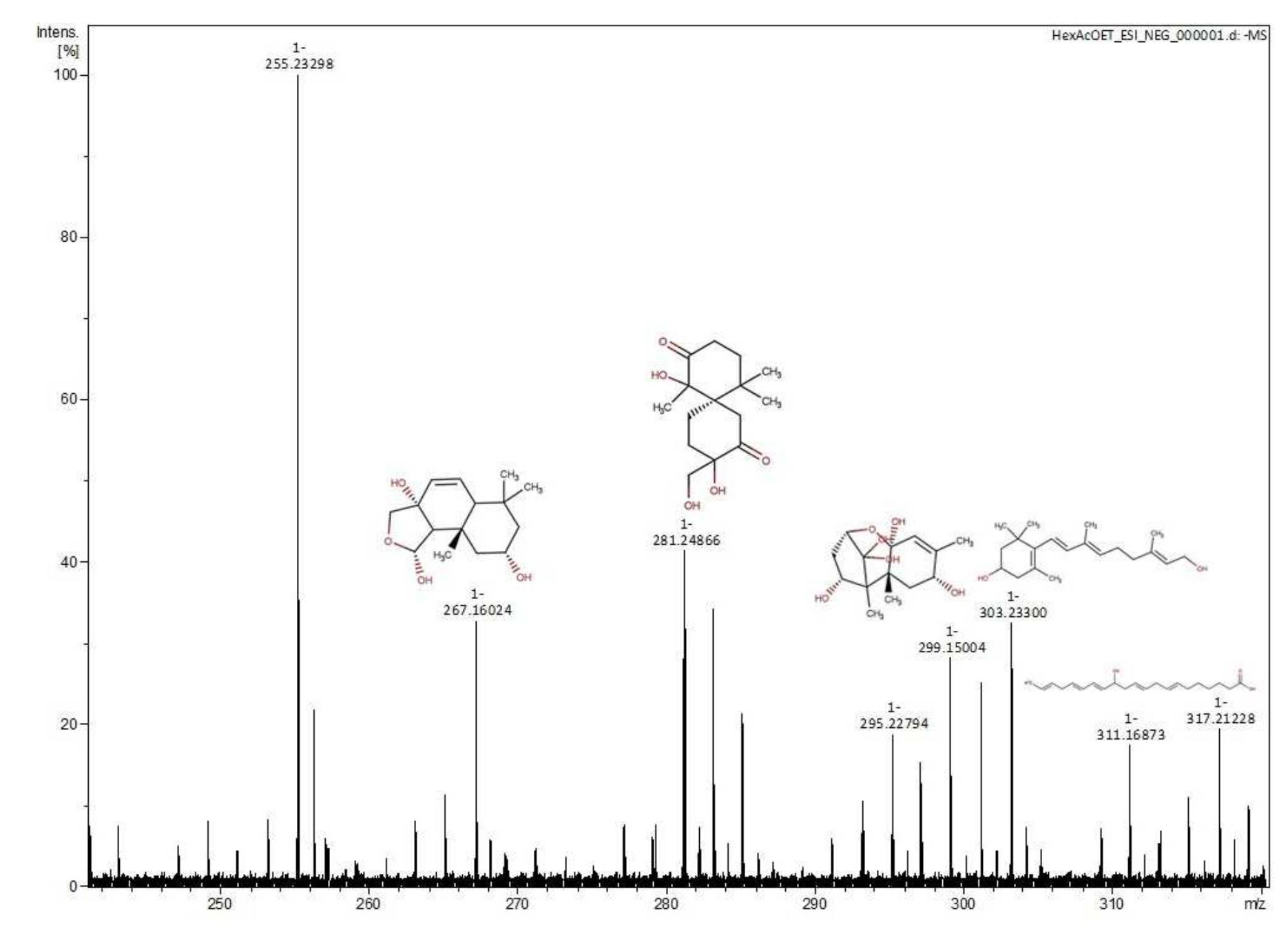 Mass spectra of hex:acoet fraction. esi-ms negative ion