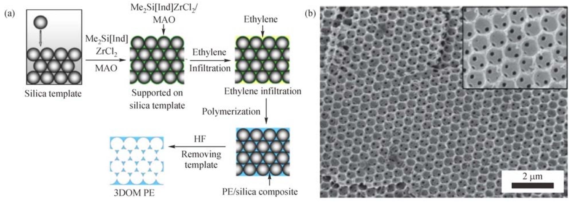 (a) schematic diagram for fabricating 3dom polyethylene by