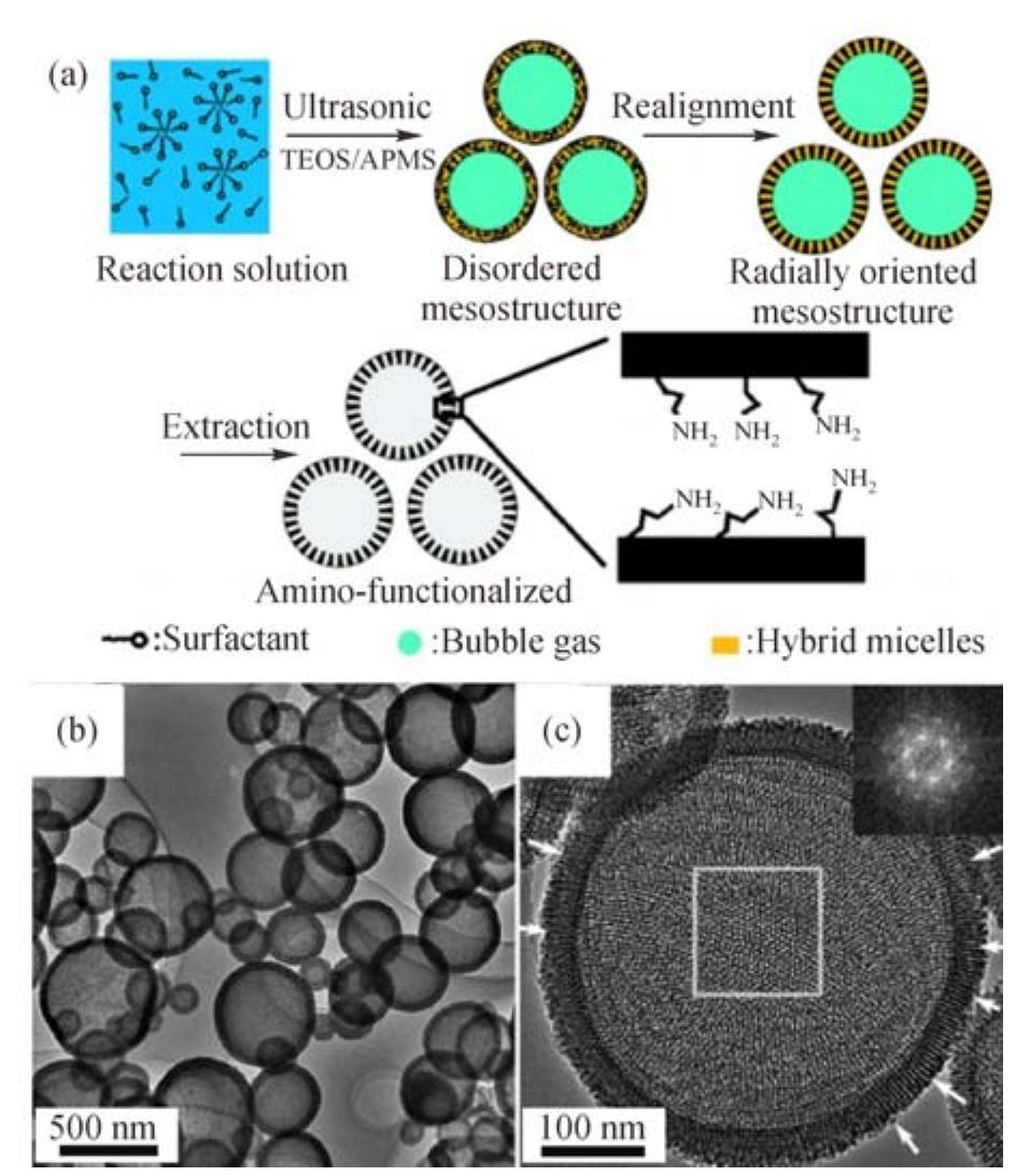 Figure 11 - from Hierarchically porous materials: Synthesis