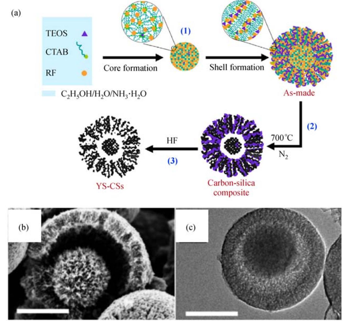 (a) schematic illustration of the formation process of the