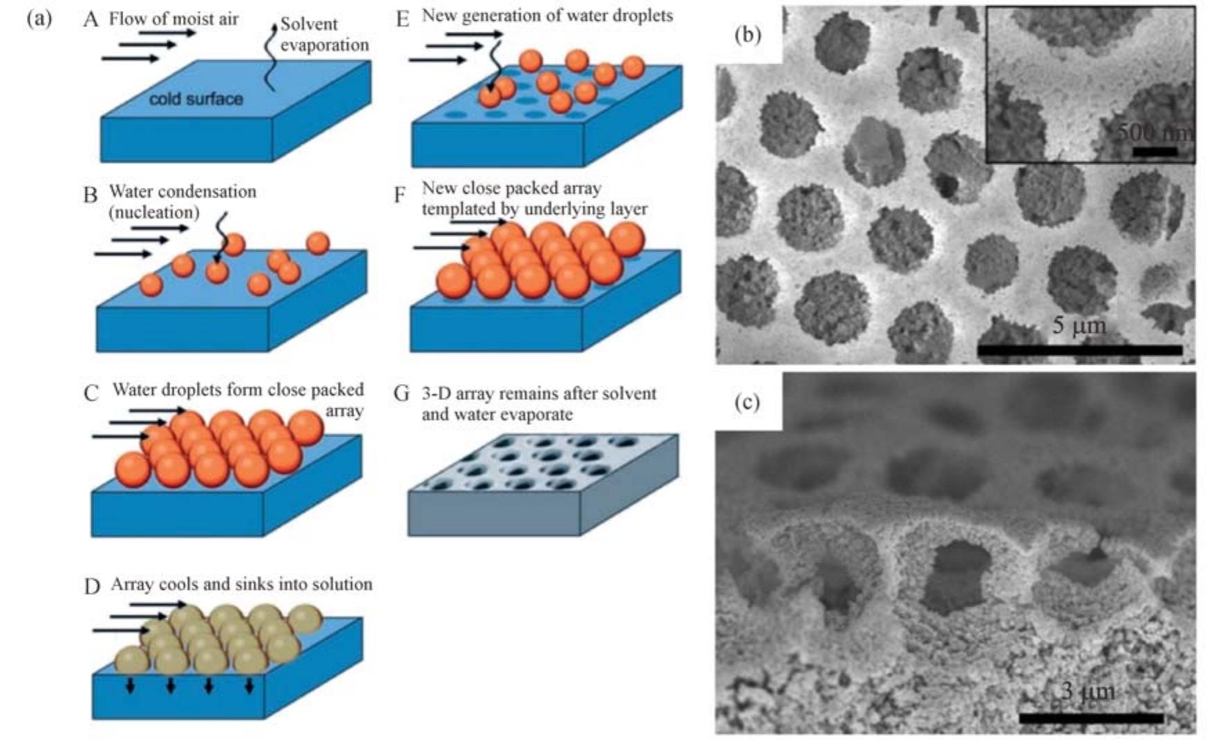 (a) a scheme showing the formation mechanism of ordered