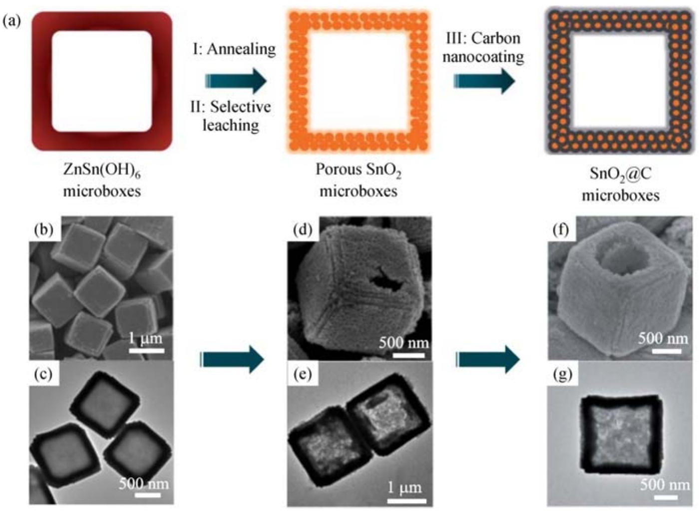 (a) schematic illustration of the formation of porous sno.@c