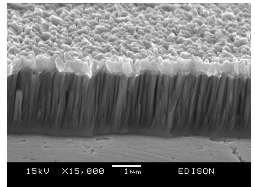 Sem picture of the fracture cross section of mgo film