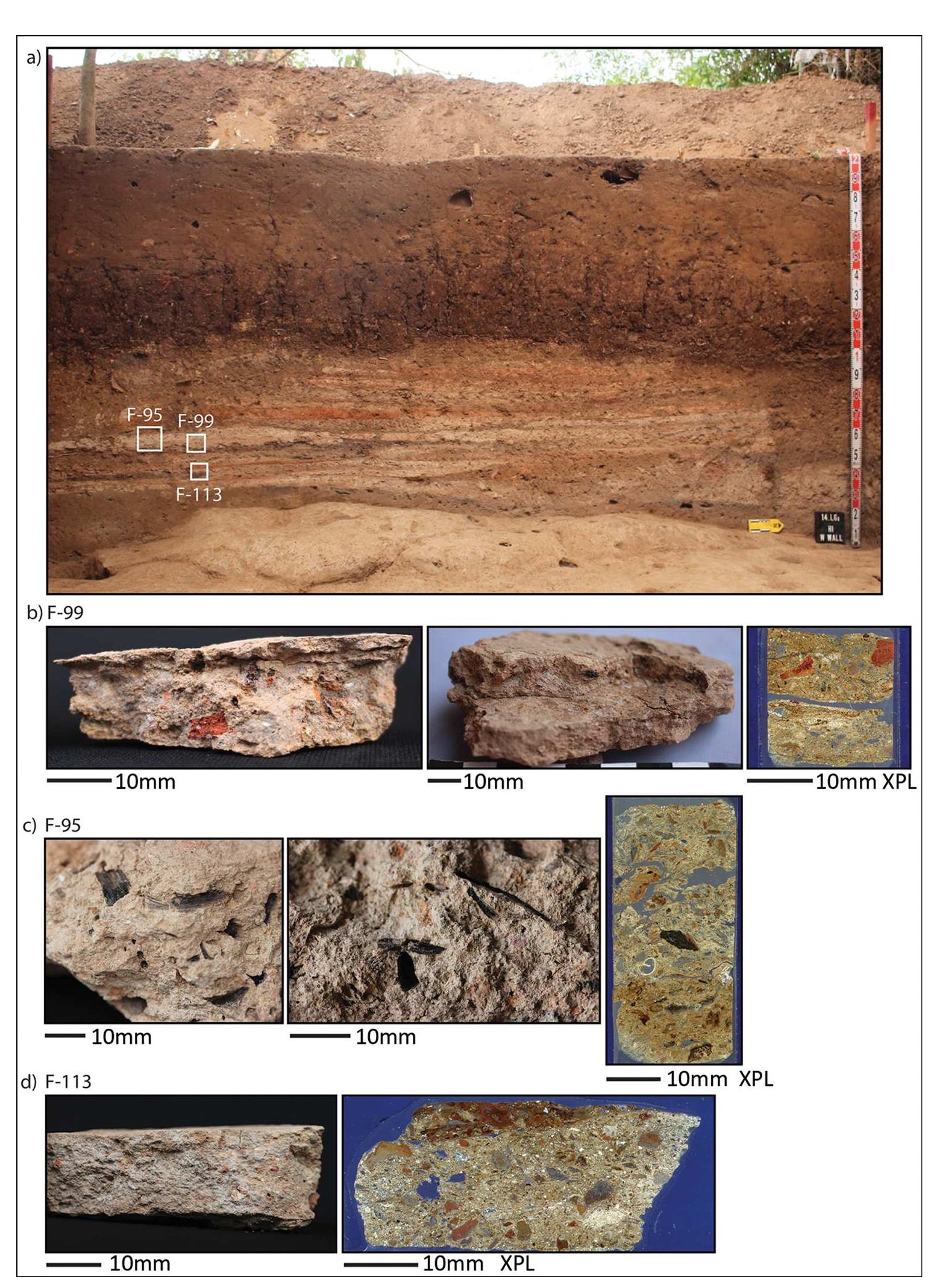 A) section of the west wall of the 2014 excavation trench,