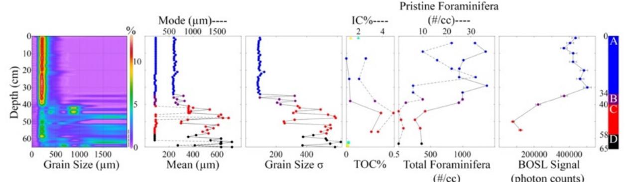 Core ll16 c1 results. grain size distribution with depth in