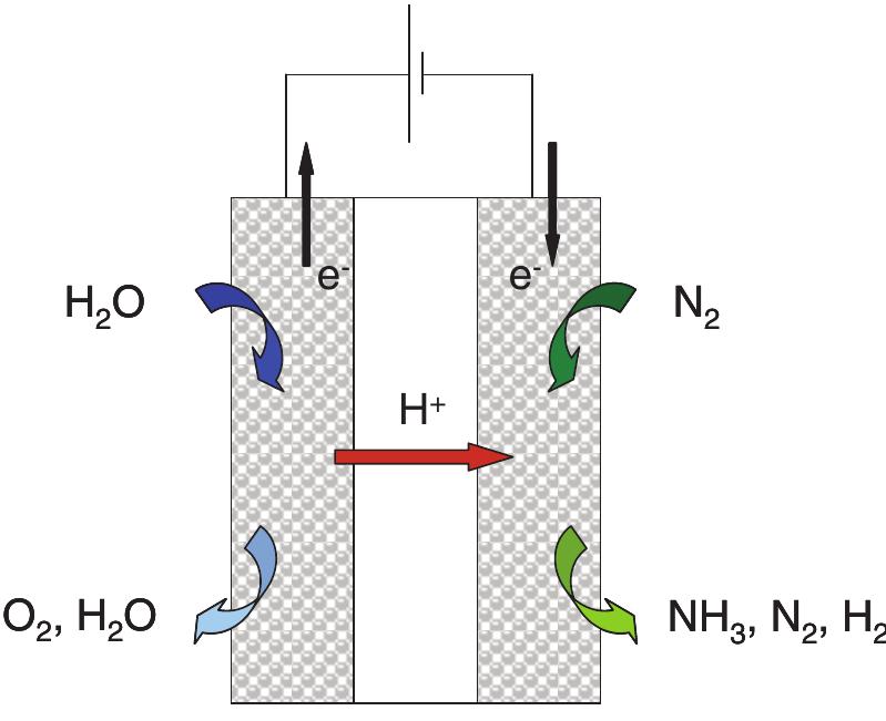 Schematic of an electrochemical cell that combines h20