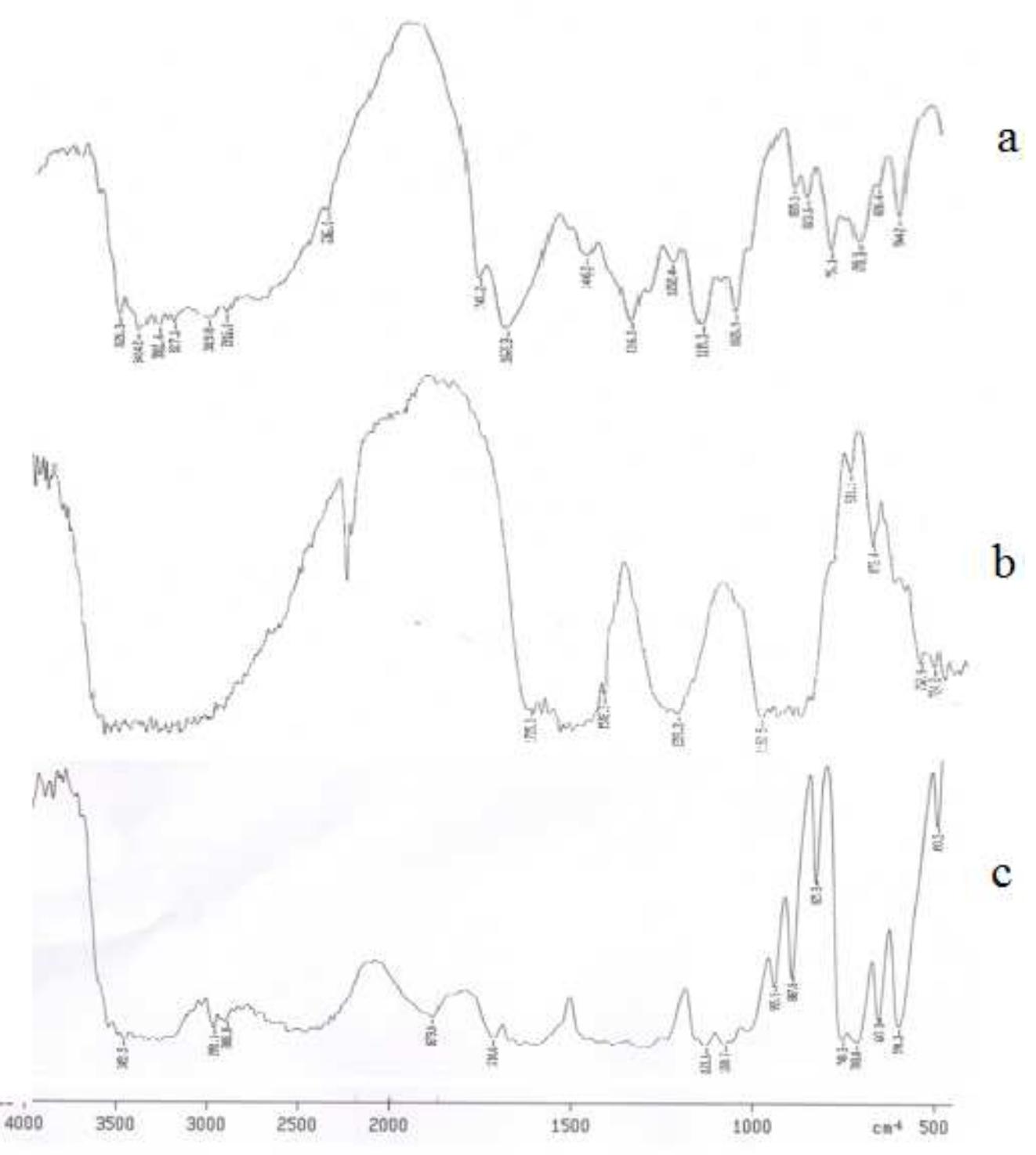 Ftir Spectrum Of A Ascorbic Acid B Ferrous Ascorbate And