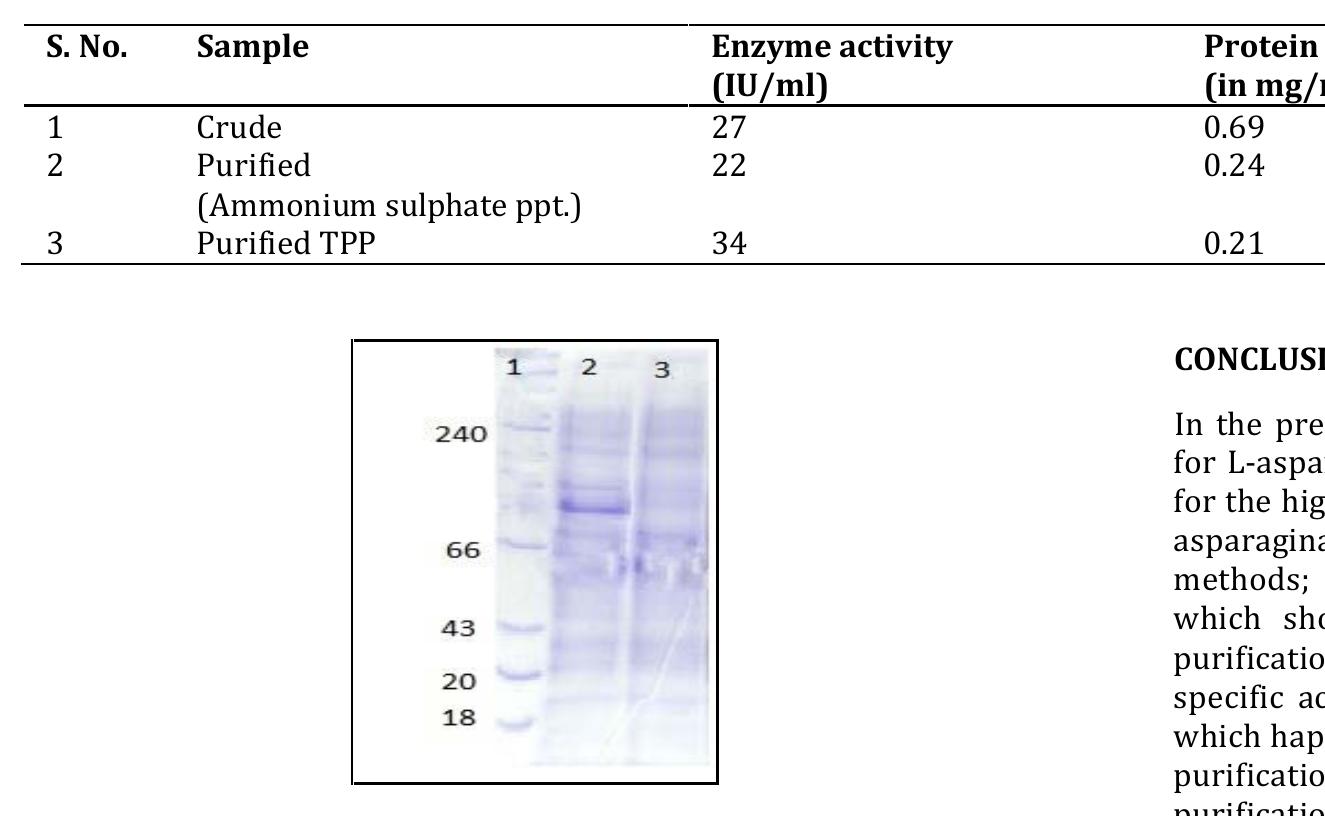 Sds-page electrophoresis of partially purified l-