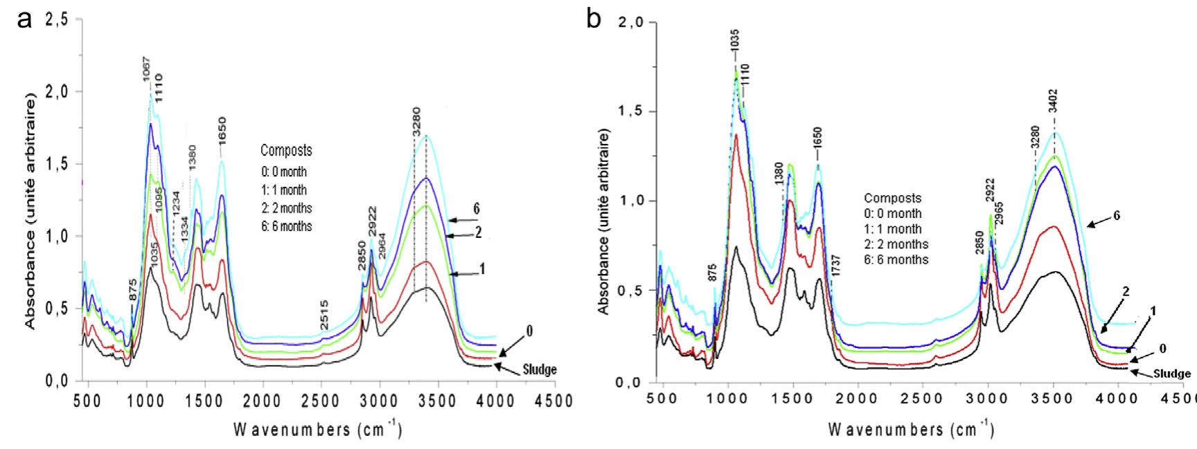 Ftir spectra at various stages of co-composting for mixtures