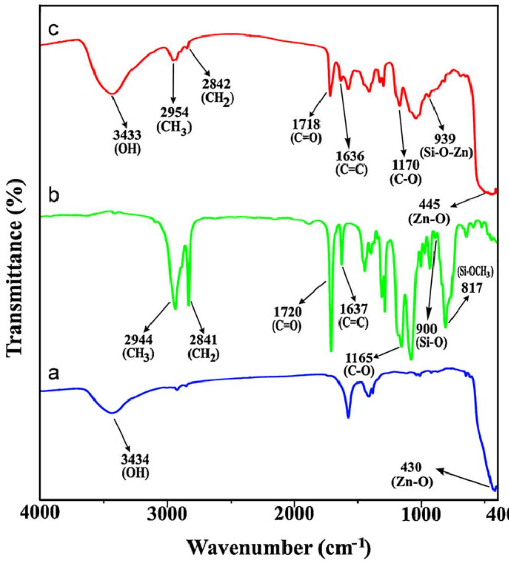 Ft-ir spectra of (a) pure zno nanoparticles, (b) kh570, (c)