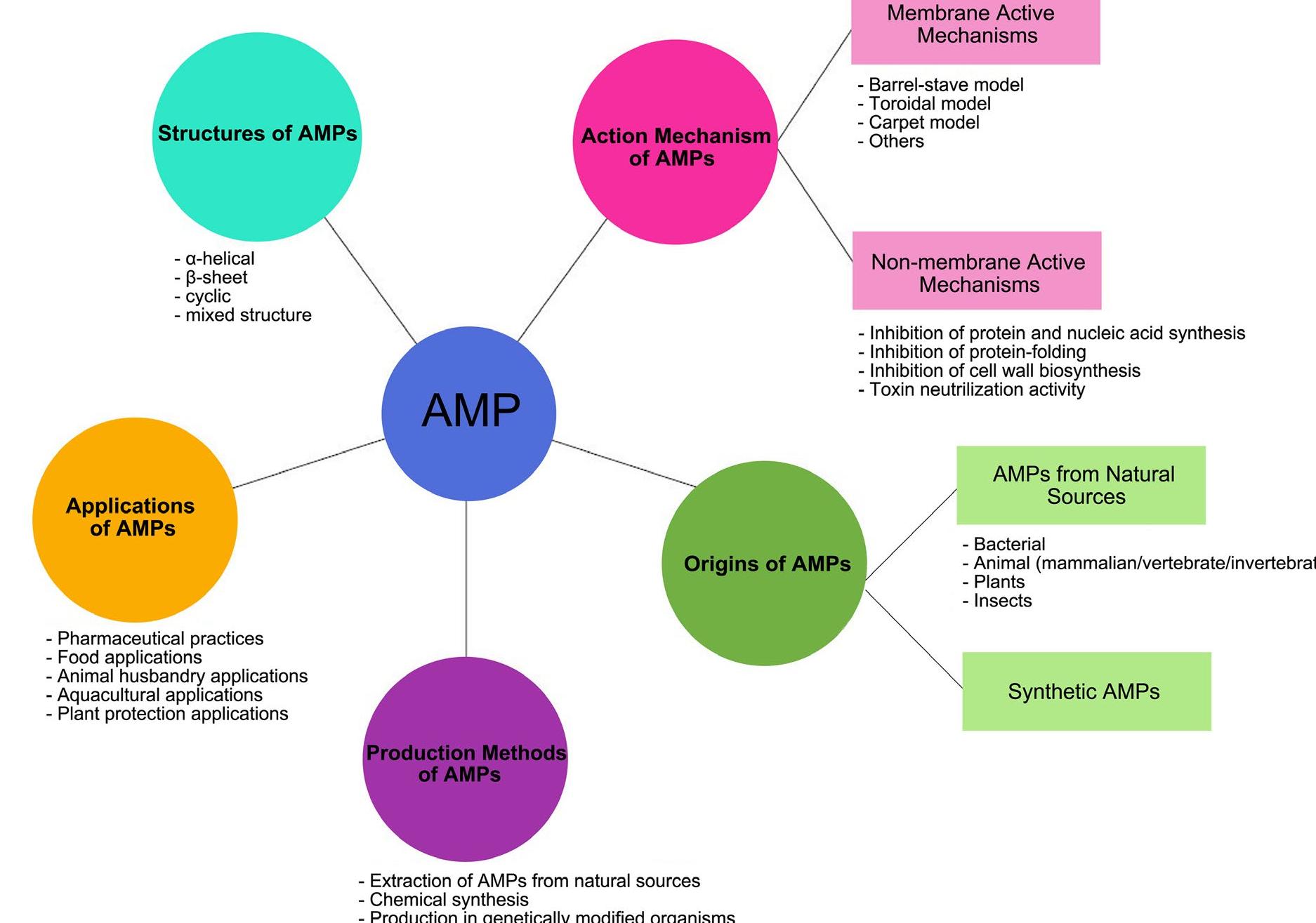 Classification of amps according to their different