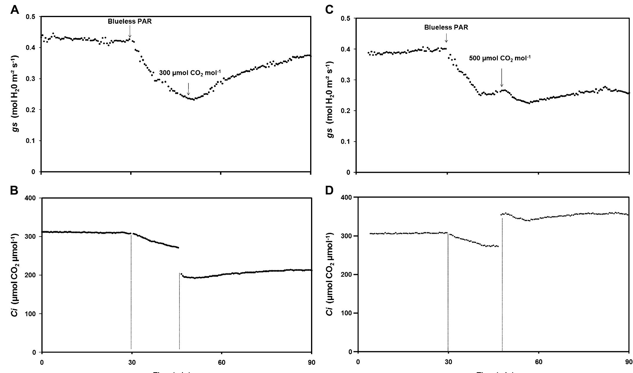 Typical stomatal conductance (gs, up) and intercellular