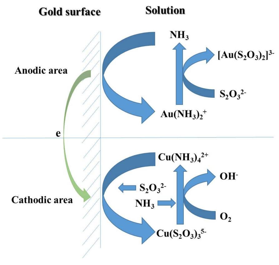 Sketch map of the electrochemical-catalytic mechanism of