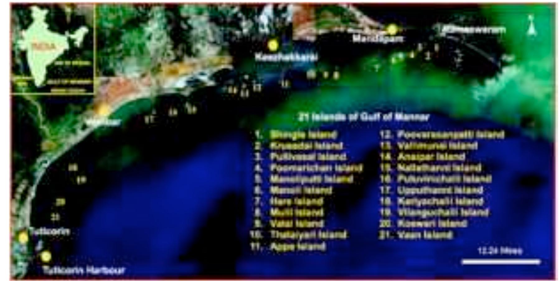 Map of the gulf of mannar showoing the location of the 21
