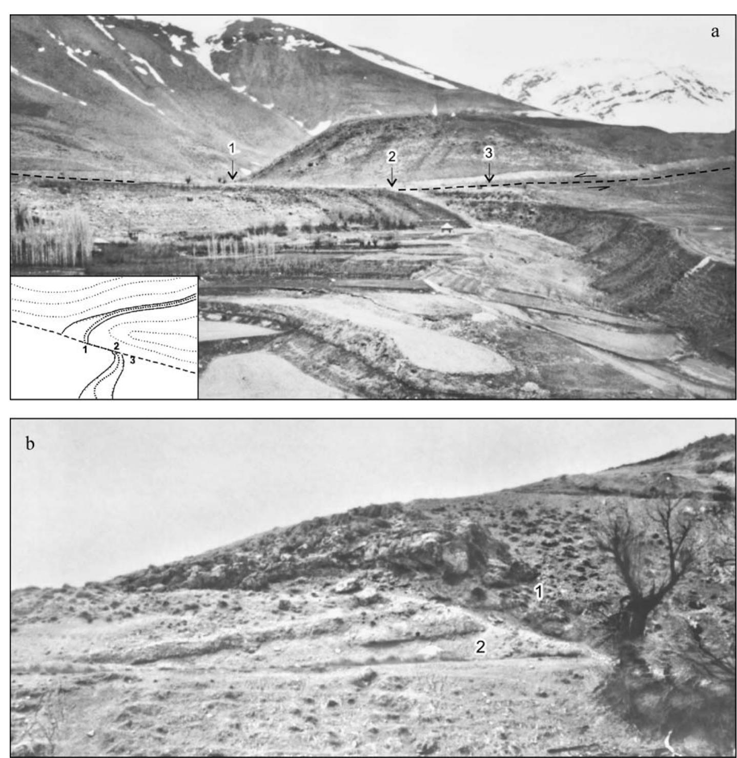Evidences of active faulting along the mosha fault zone. (a)