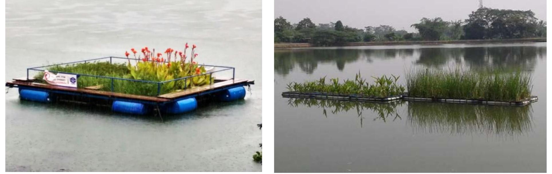 - 11 examples of floating wetlands; images: dr. cynthia