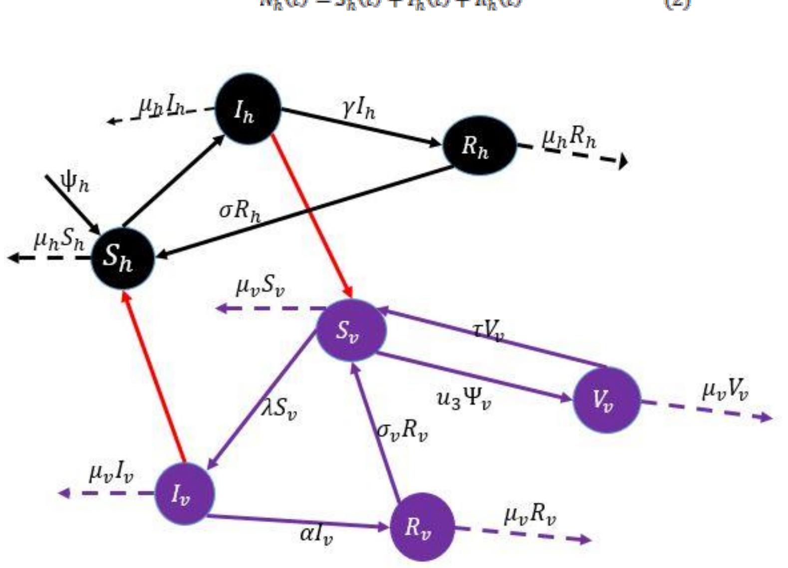 | flow chart for the anthrax disease transmission. the blue
