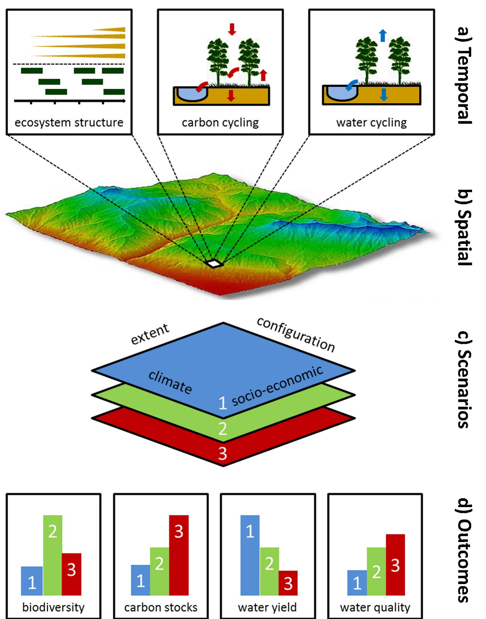 Conceptual diagram of the spatio-temporal model needed to