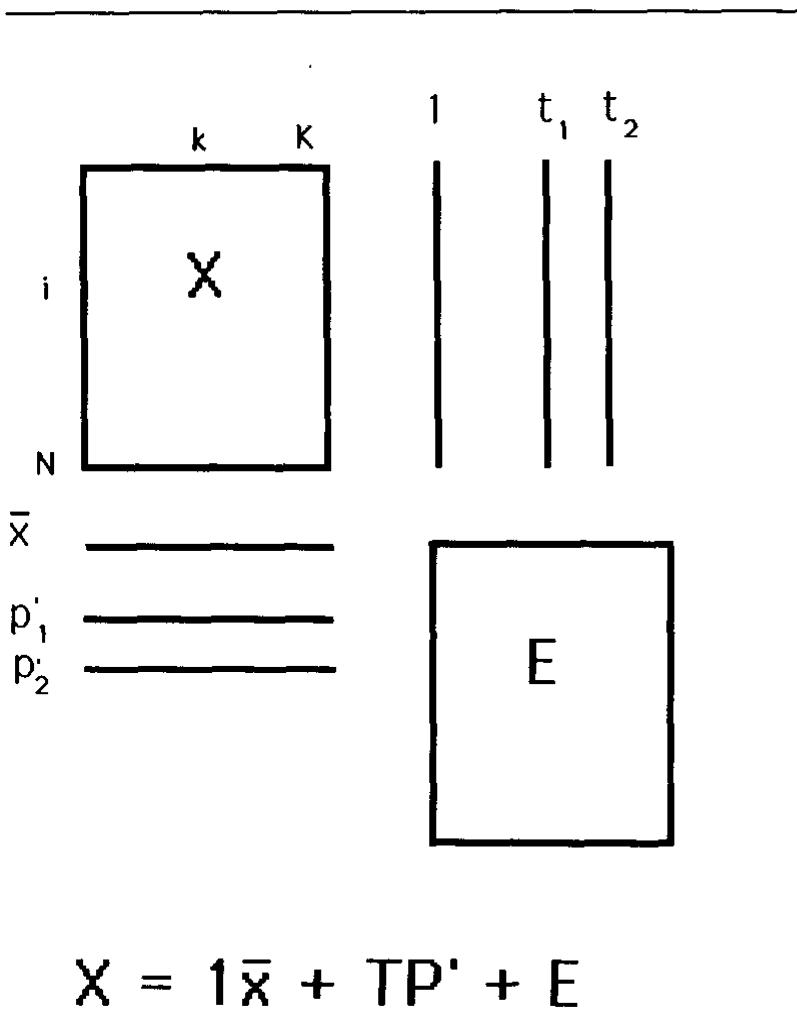 A data matrix x with its first two principal components.