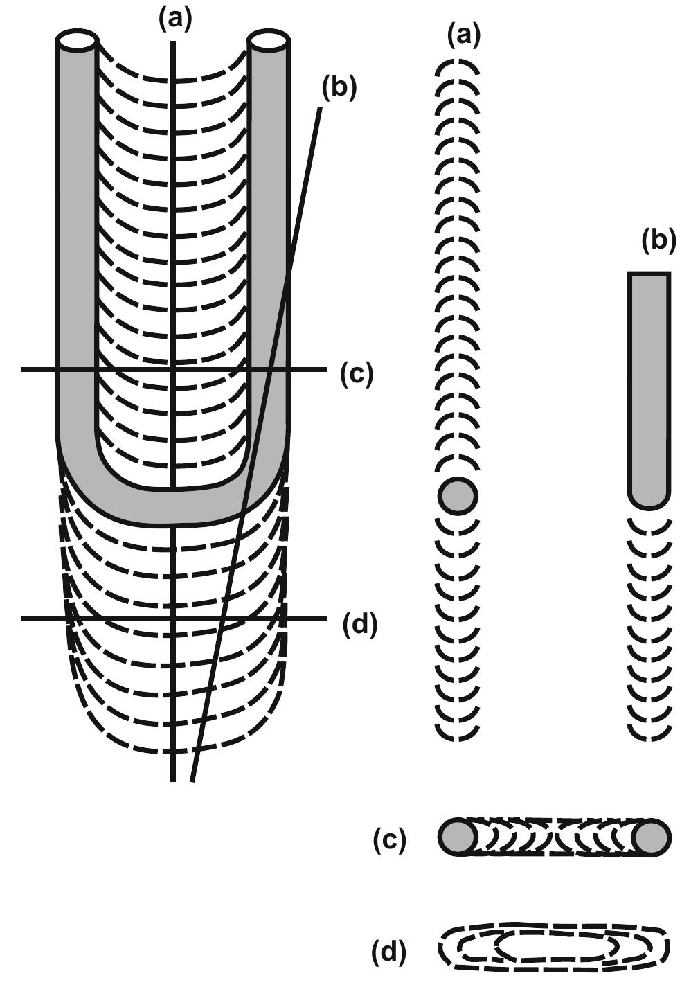 56 schematic diagram showing different sections through