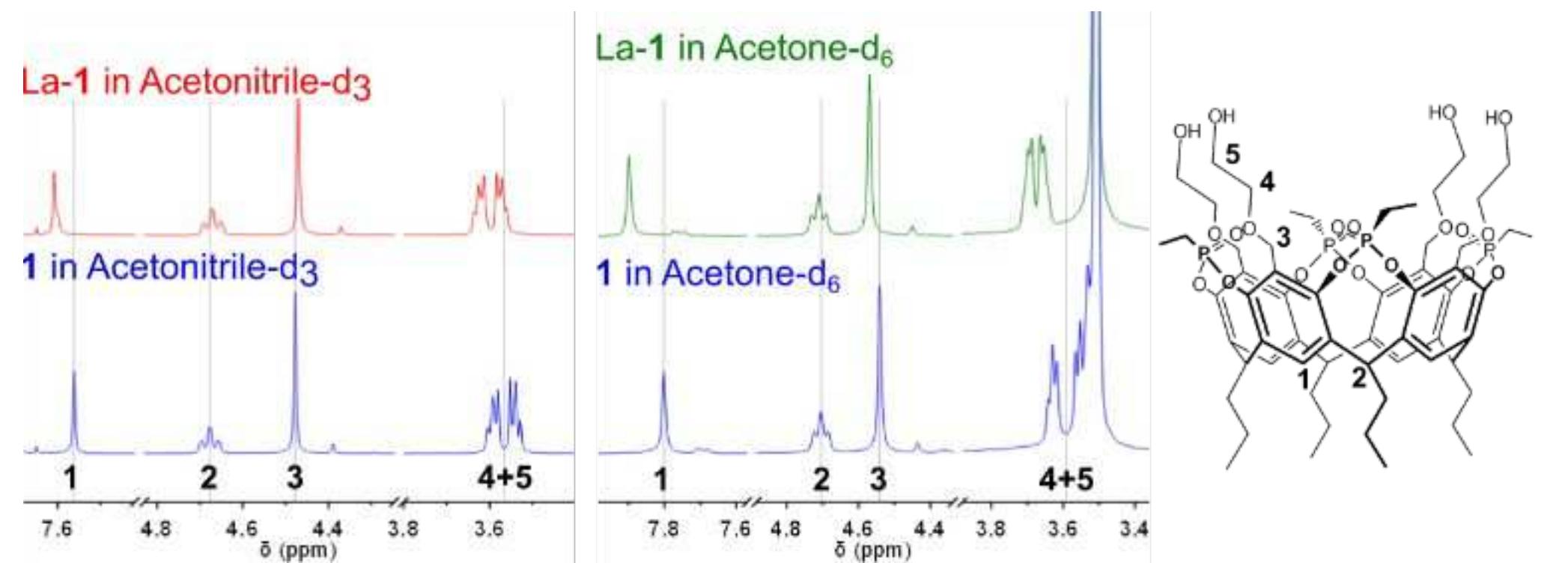 Portions of the ‘h nmr spectra of cavitand 1 (bottom) and