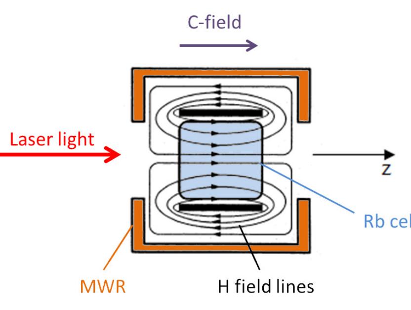 1: geometry of the microwave magnetic field lines in a