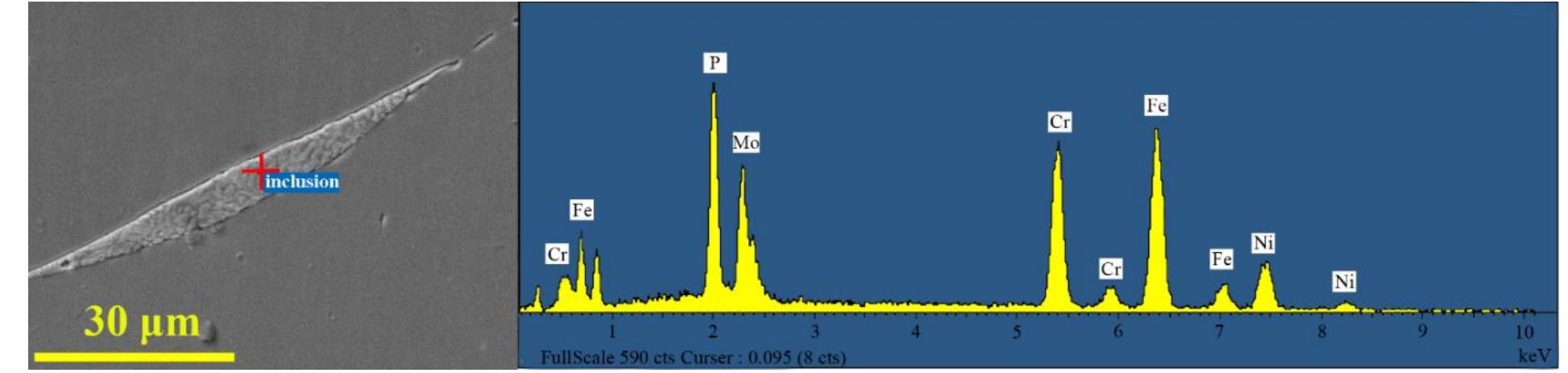 Eds analysis of microstructure of 254 smo after polarization