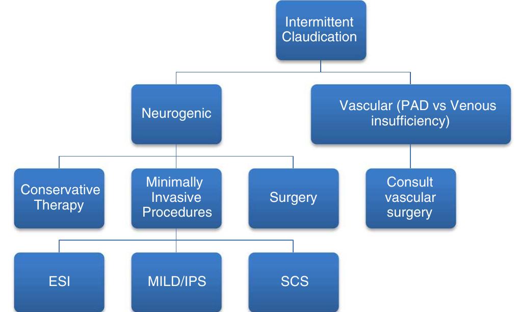 Treatment options for claudication. esi, epidural steroid
