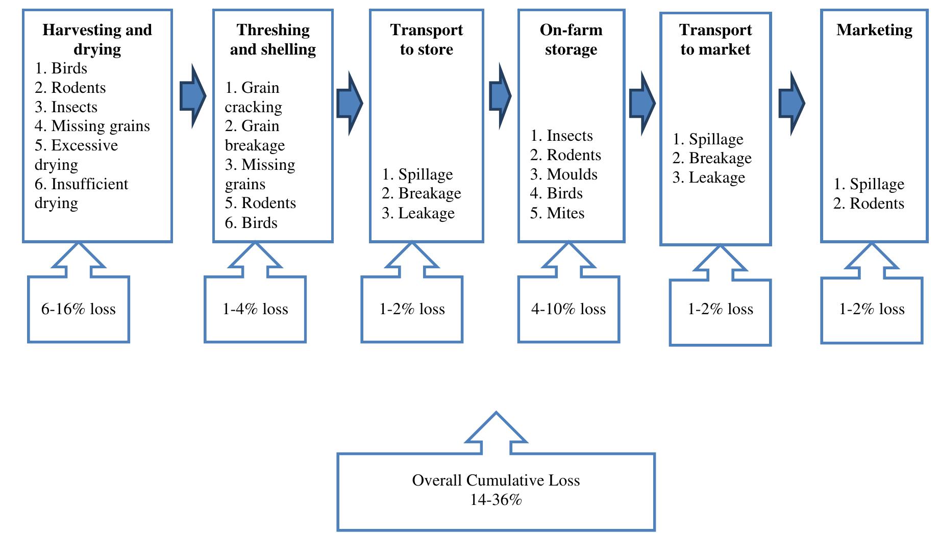 Maize post-harvest chains of activities showing several