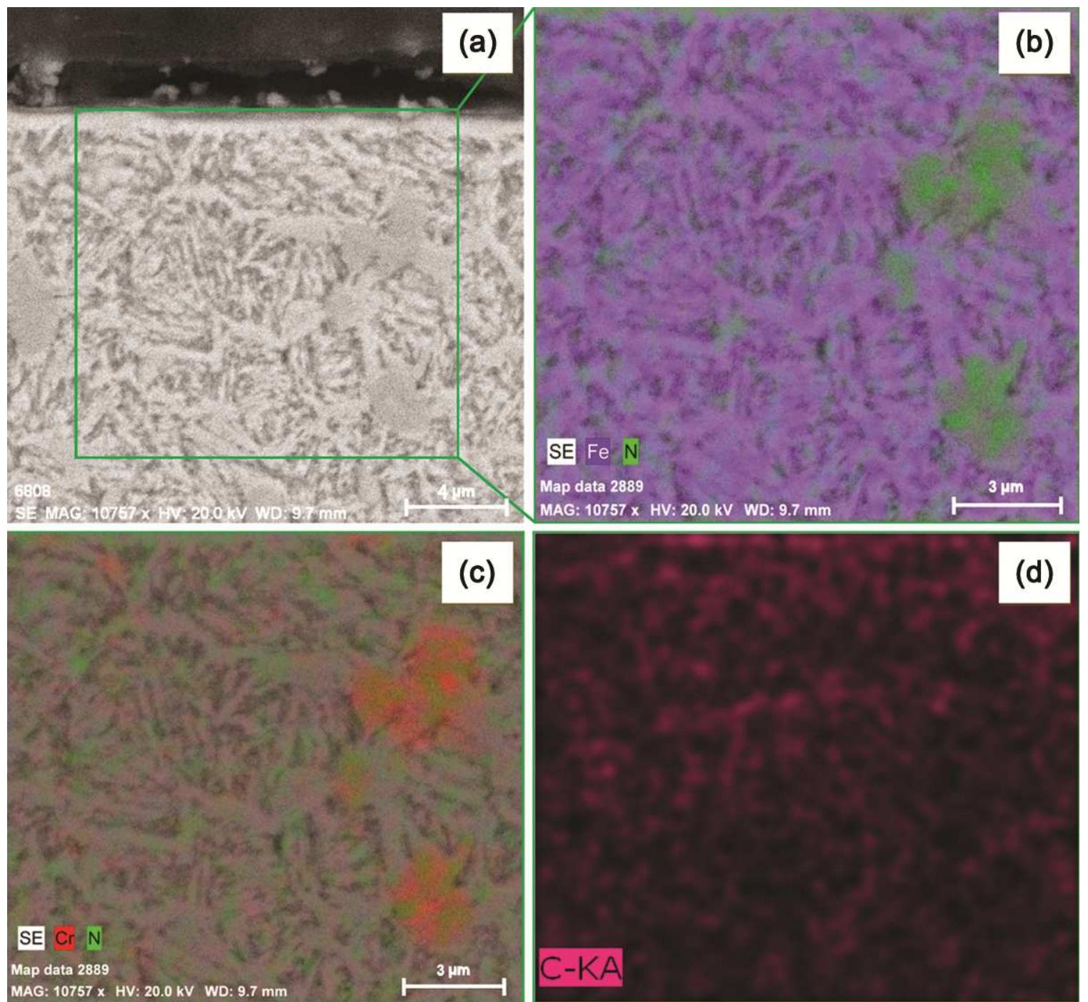 maps of the distribution of some chemical elements of onc