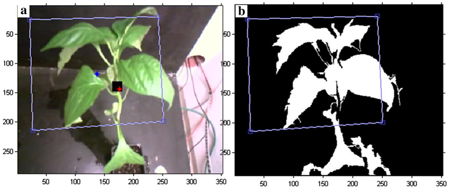 Initial position and orientation as seen from the rgb camera