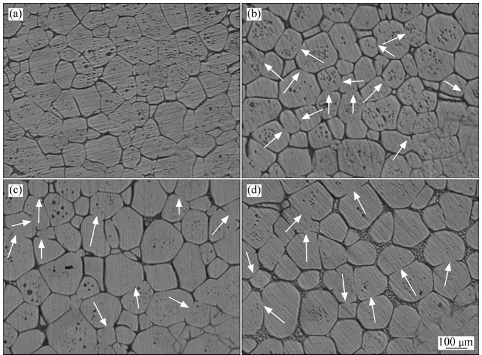 Microstructures of transverse section of sample with 30%