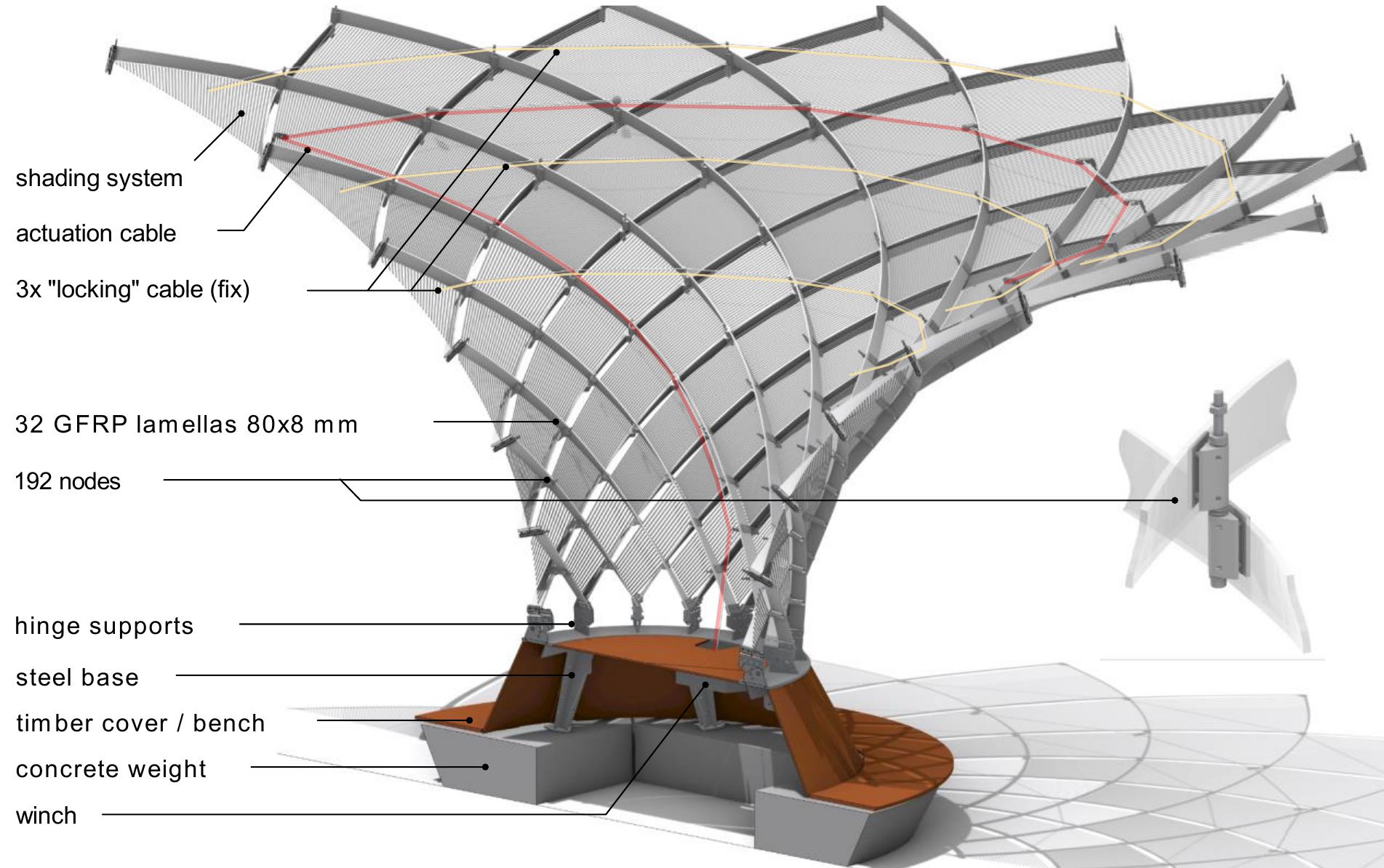 The components of the kinetic umbrella can be assigned to