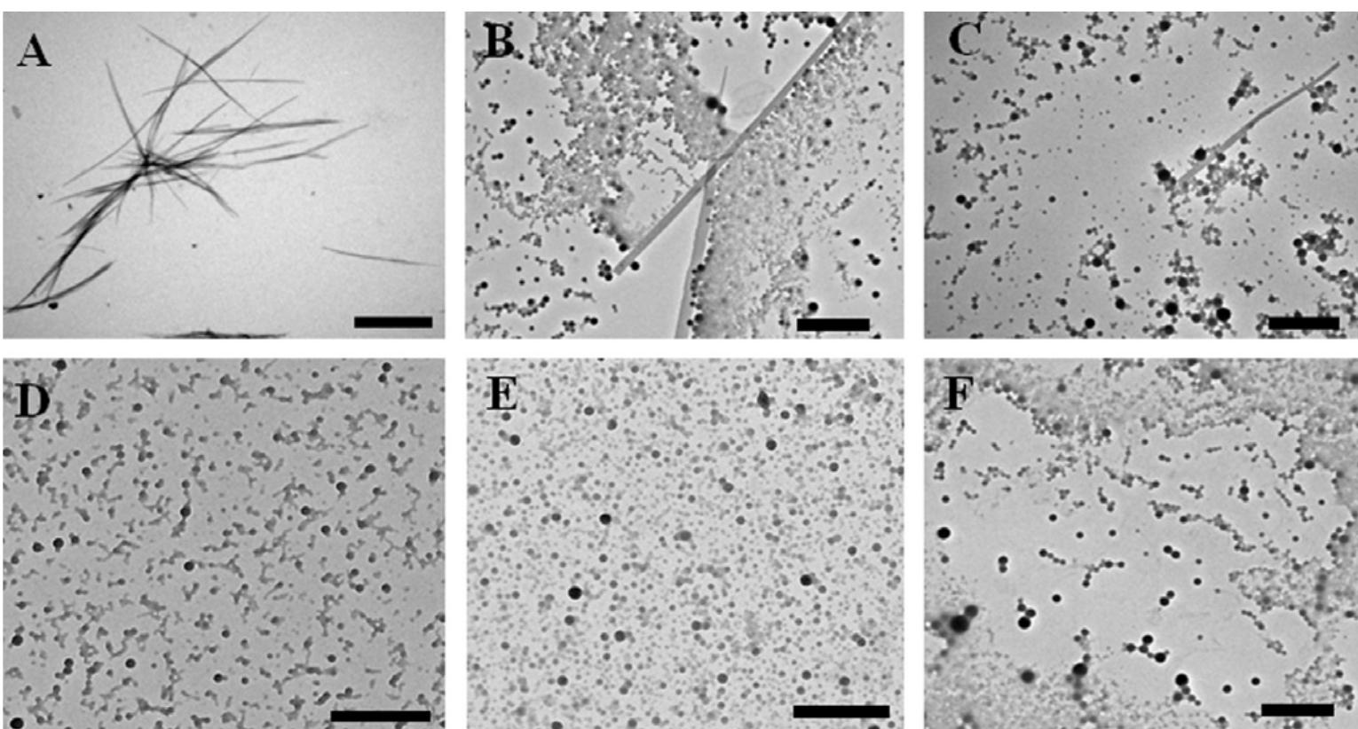 Figure 4 - from Quercetin loaded biopolymeric colloidal