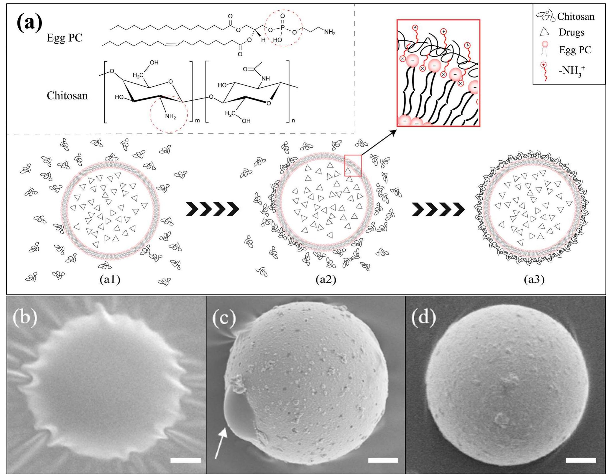 (a) schematic of the assembly process diagram of