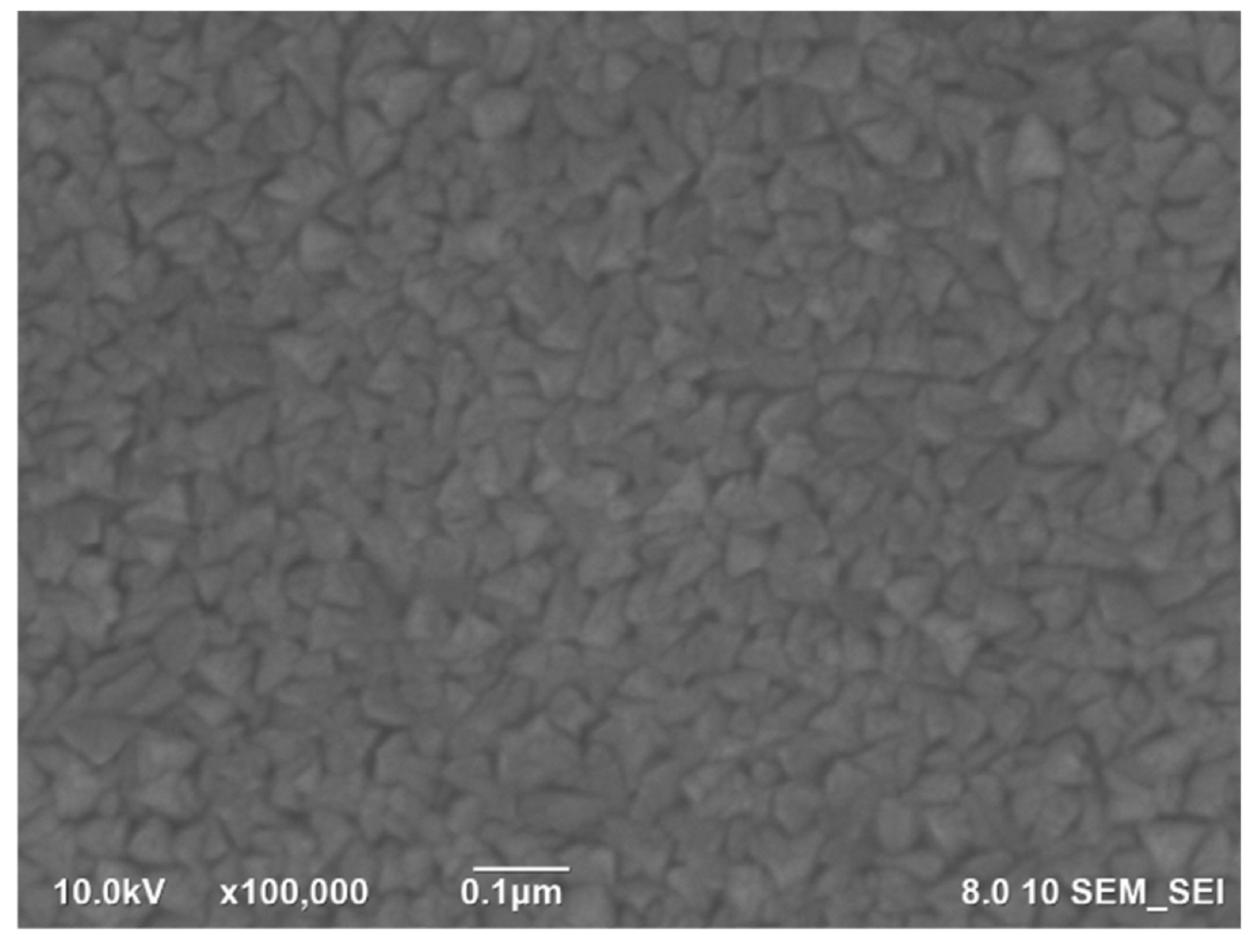 Sem images showing grain size and morphology of tin/ti 8p