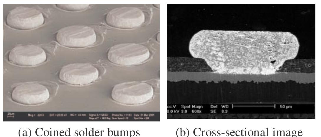 Sem images of coined pbsn solder bumps on osp finished pcb.